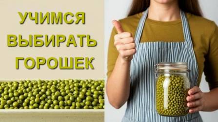 Как выбрать горошек. Какой горошек лучше.Учимся выбирать какой горошек самый лучший