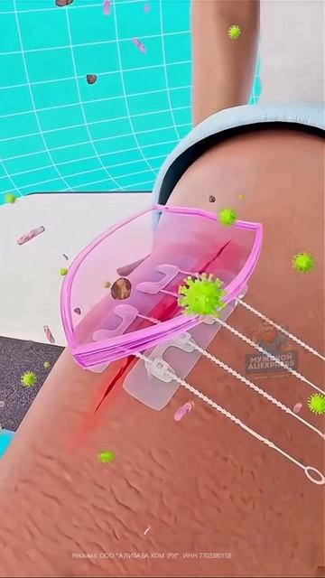 Кровоостанавливающий пластырь-застёжка