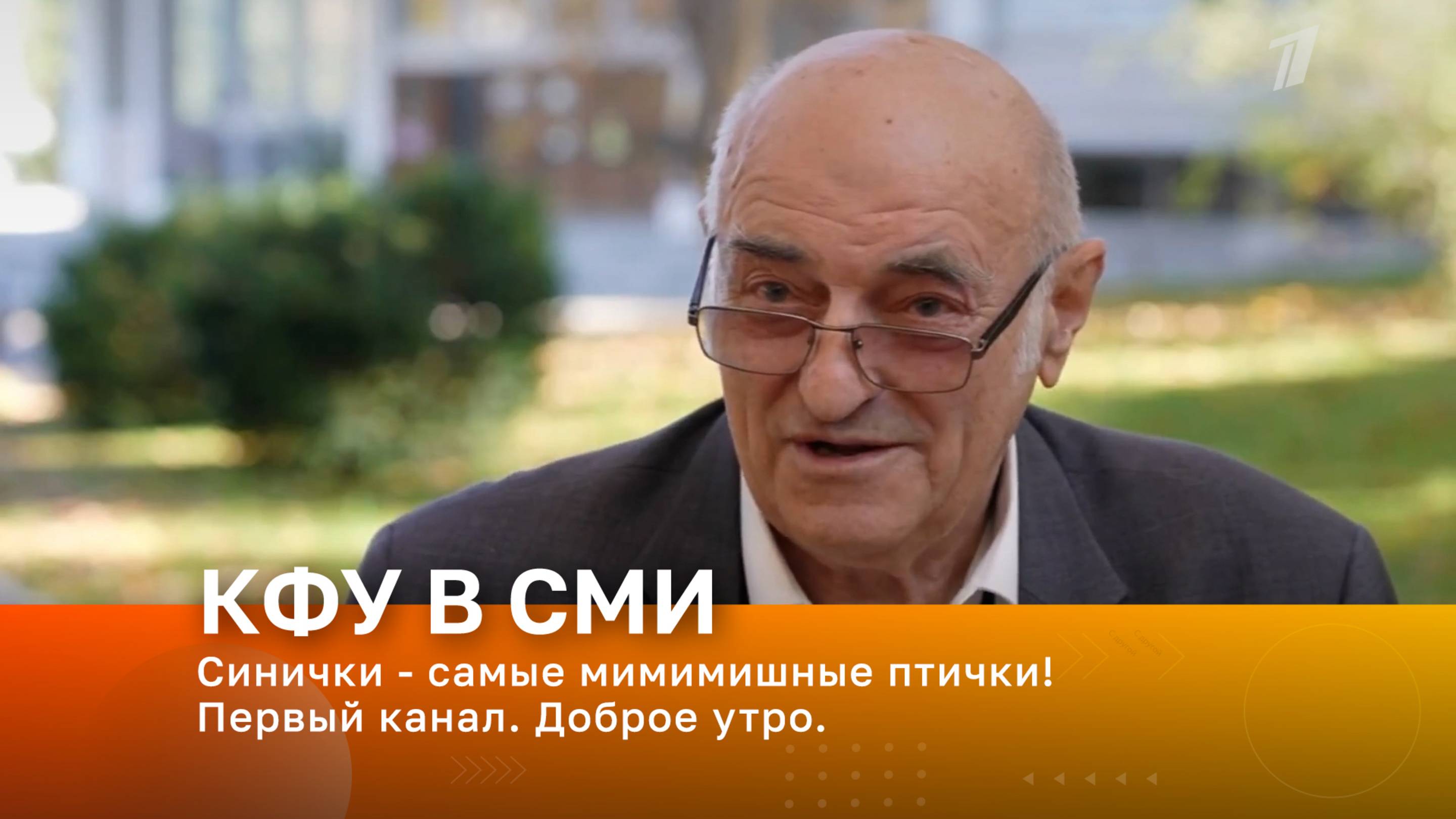 Синички - самые мимимишные птички! Доброе утро. Фрагмент выпуска от 12.11.2025