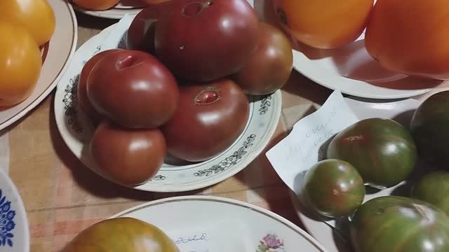 Выставка томатов, выращенных в Кировской области