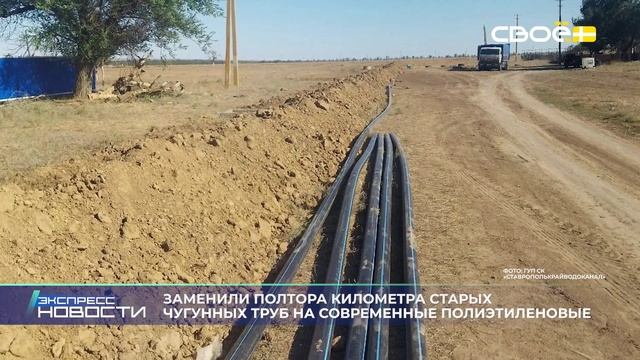 Экспресс новости на Своём от 1 ноября 2025г. 14:00