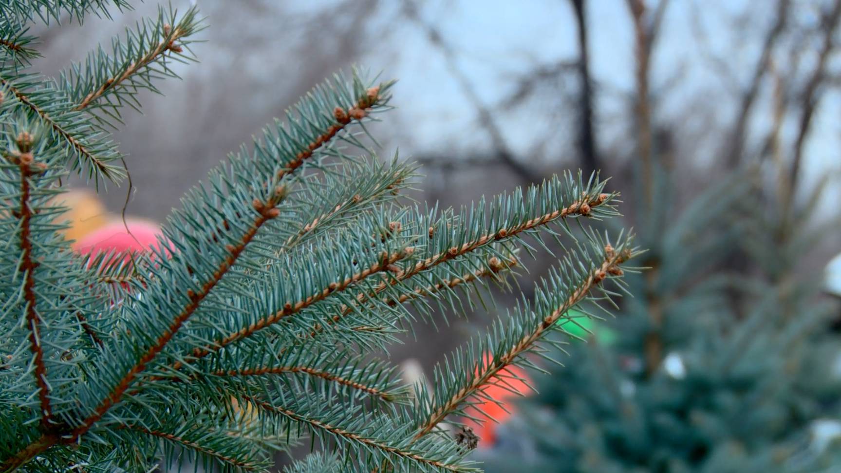 Сотрудники службы благоустройства комбината украсили территорию проектного центра