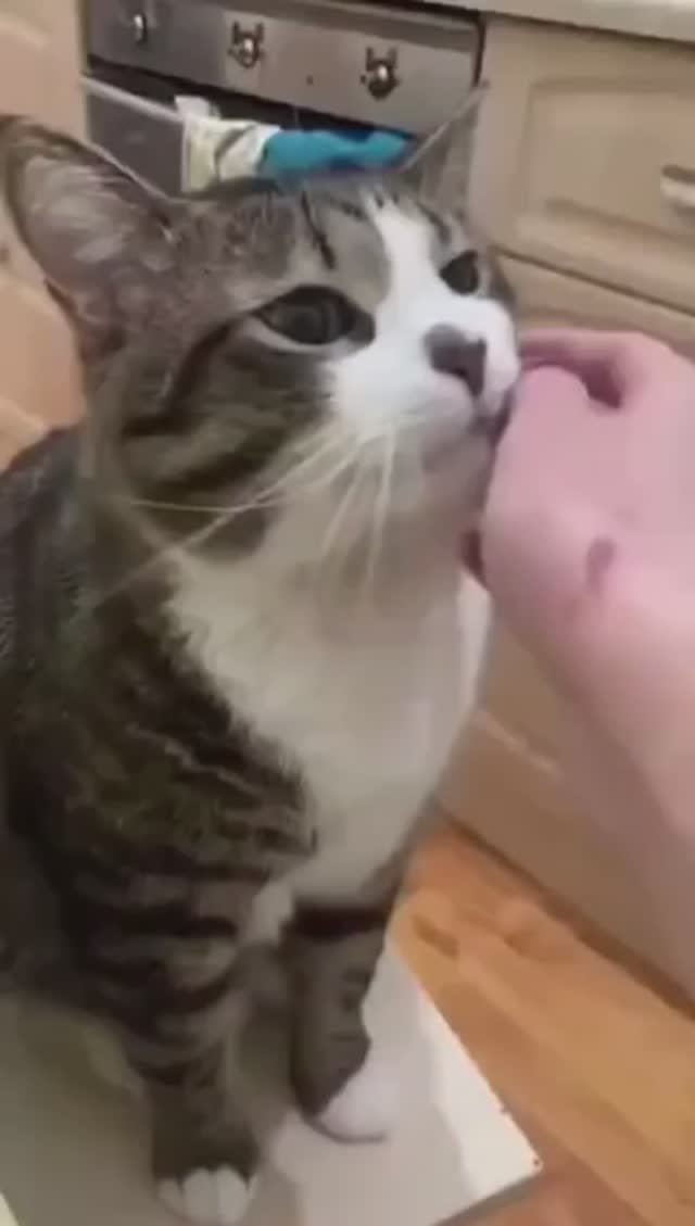 Ну можно кусь