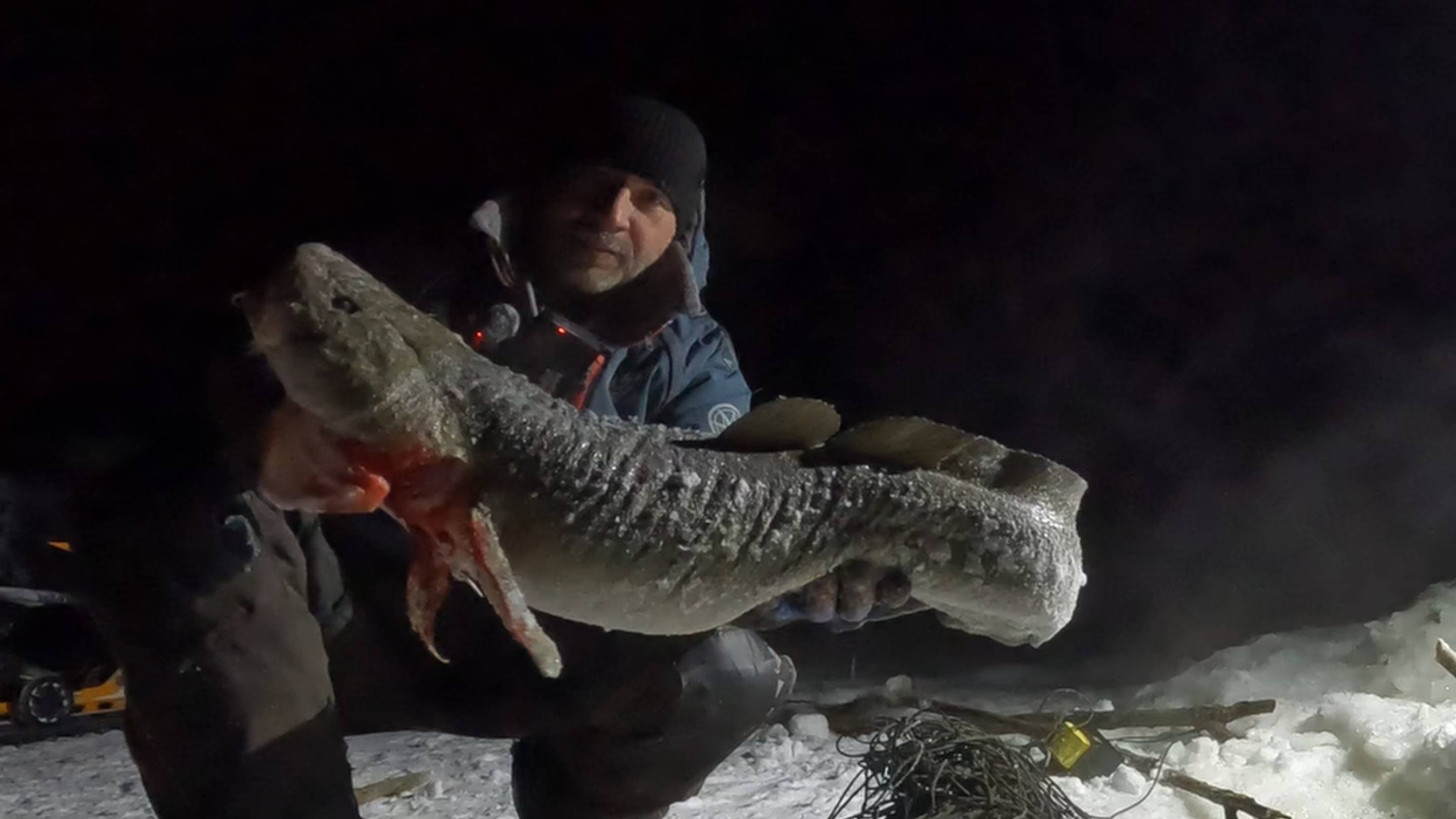 ПРИШЕЛ НЕЗВАНЫЙ ГОСТЬ | УГОСТИЛ НАЛИМОМ | ПРОВЕРКА ПЕРЕМЕТА 11.11.2025