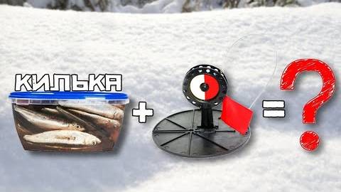 ЧТО БУДЕТ, если расставить 20 ЖЕРЛИЦ С КИЛЬКОЙ?! Разоблачение года! Рыбалка 2025