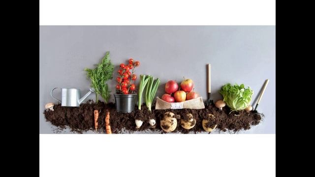 Команда экоактивистов Рубцовского института (филиала) АлтГУ выполнила квест "Разделяй с нами 1.0".