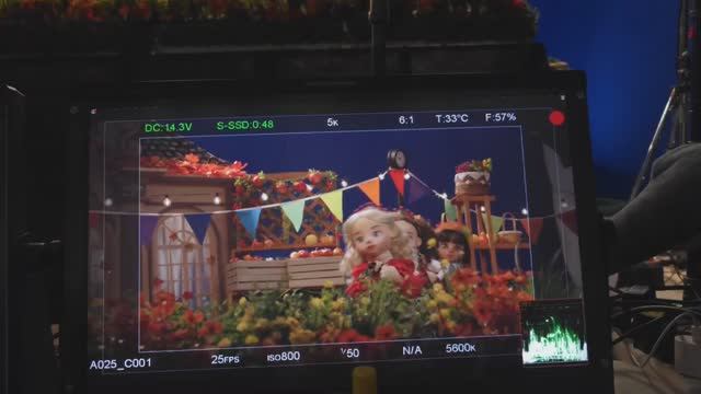 Воскресенье в Кукольбурге!