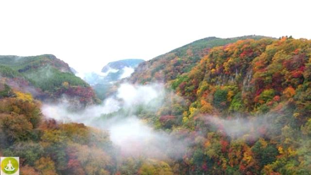 Моя осень2025г  st Werema 54 remix instrumental