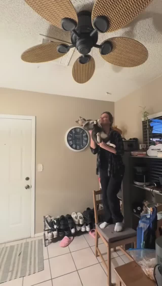 Она справилась