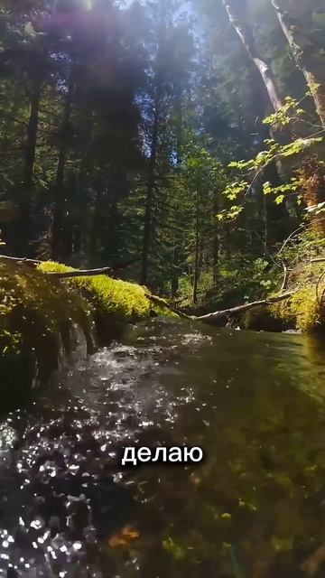 Полезная аффирмация для продуктивного утра!