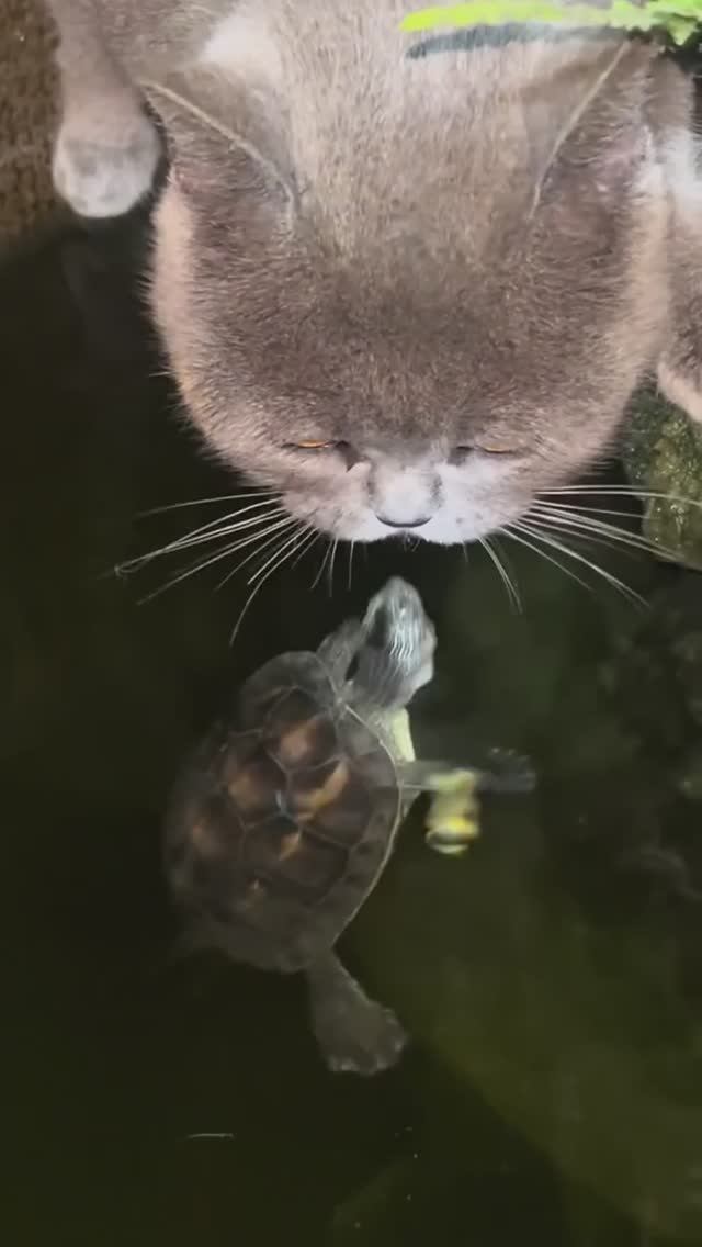 Хватит пить мой дом!