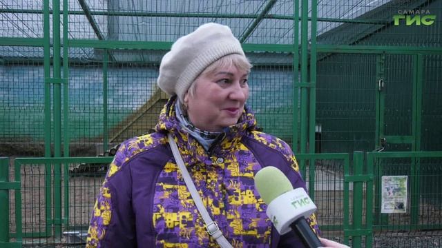 Лев и пума переехали: в зоопарке Самары завершили строительство современных вольеров