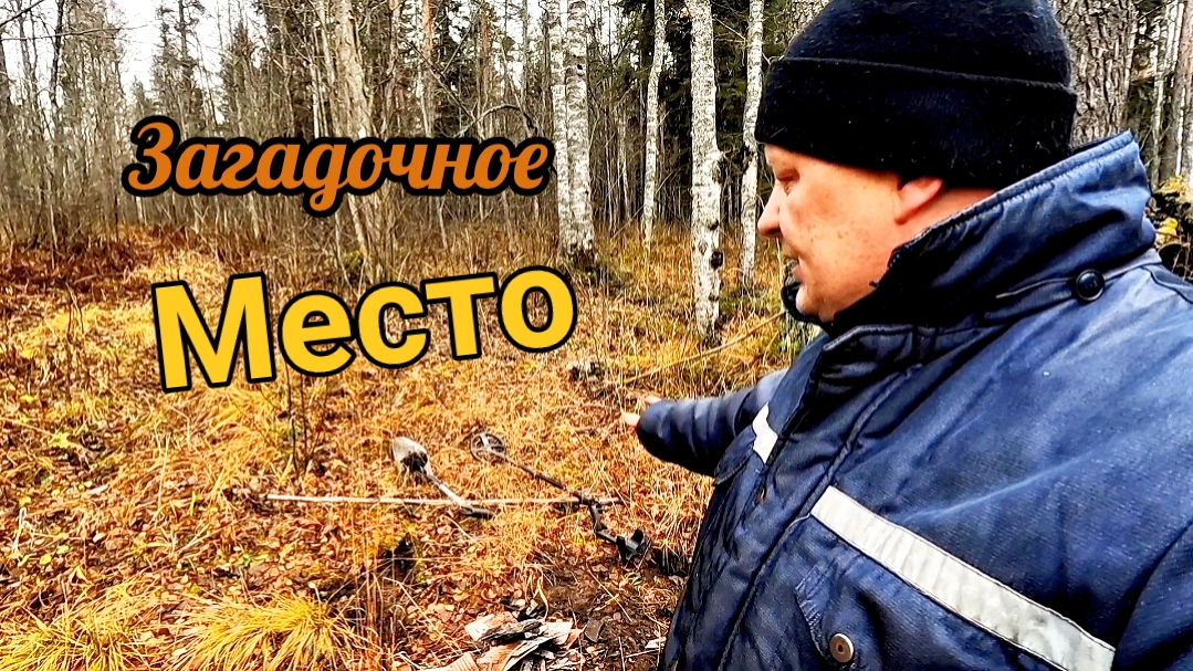 Так что же здесь было?  Коп металлолома, разведка лесной дороги