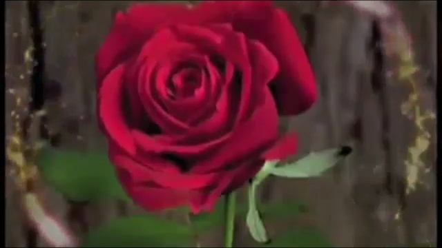 Тёплый май. Сергей Чекалин. Warm May. Sergei Chekalin.