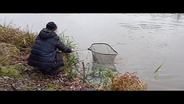 Светлые Горы Щука 12.11.2025г.