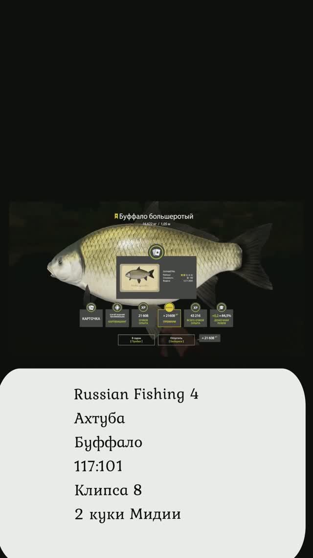 Троф Буффало. Ахтуба. Russian Fishing 4