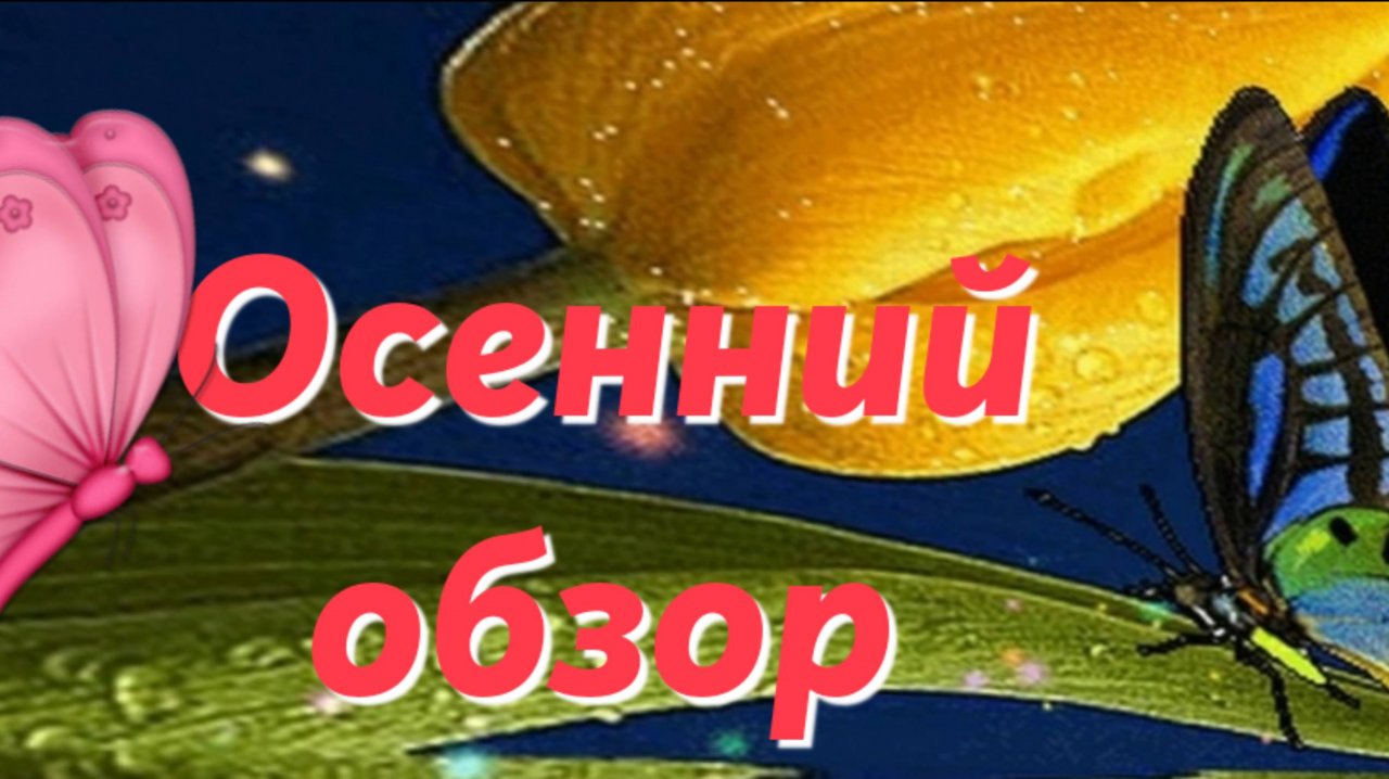 Осенний обзор