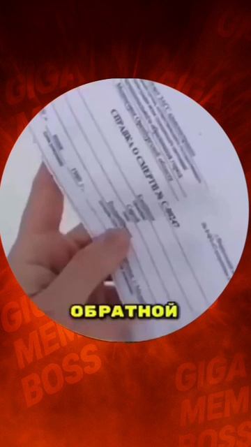 приколы новинки