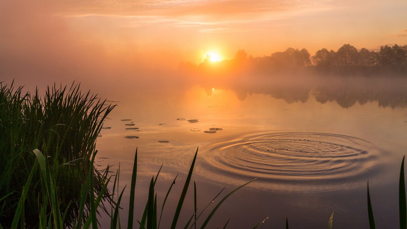 Эх, вы летние деньки,