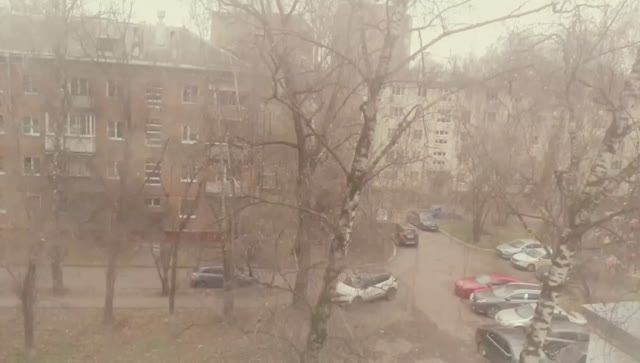 Поздняя осень. c-b4ea-e1bfb922e527