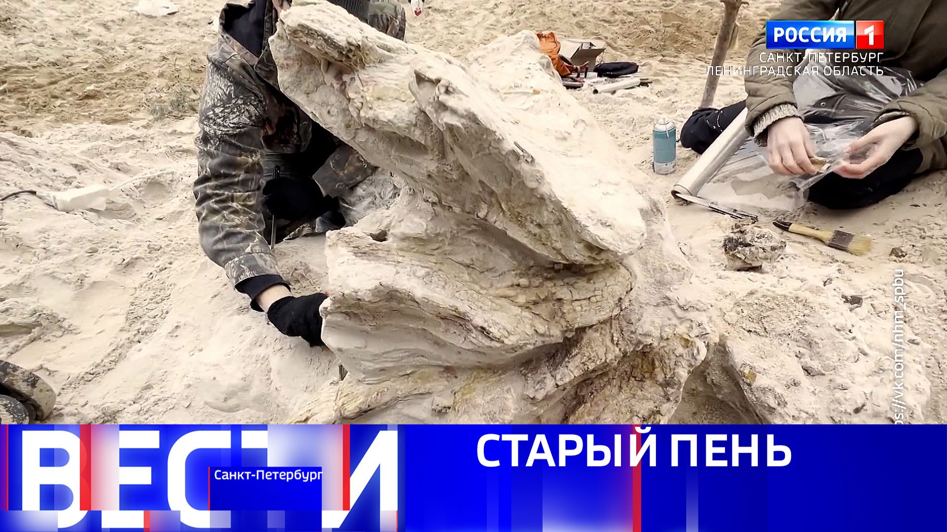 Вести Санкт-Петербург. Выпуск 09.30 от 13.11.2025