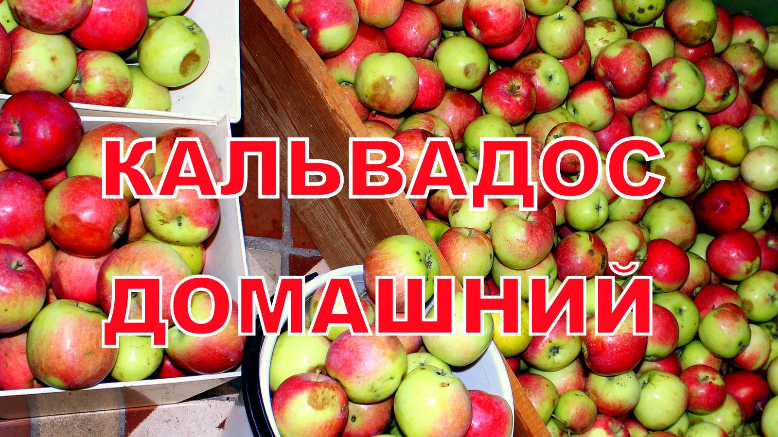 Кальвадос из своих яблок