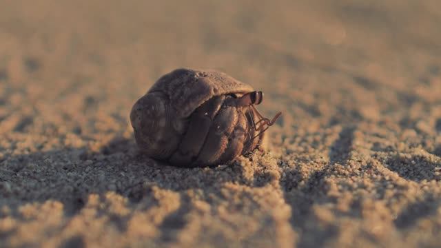 ВИДЕО С ПЛЯЖА HDR