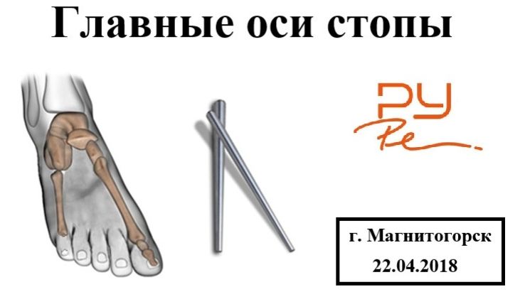 Лекция 3. Главные оси стопы