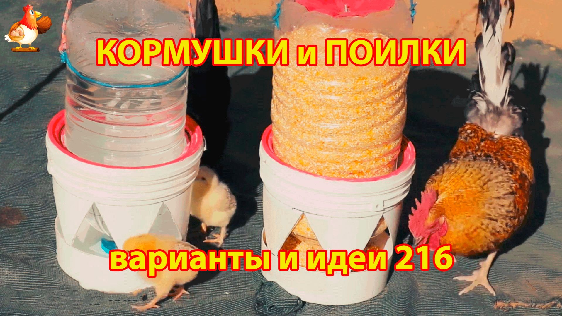 Кормушки и поилки для кур своими руками 216 🪚✂️ Пошаговая инструкция как сделать 🐔 🐓❣️