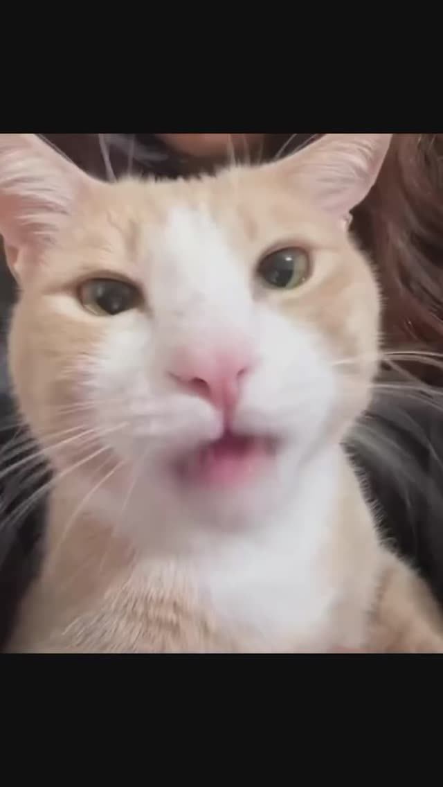 Планы на выходные