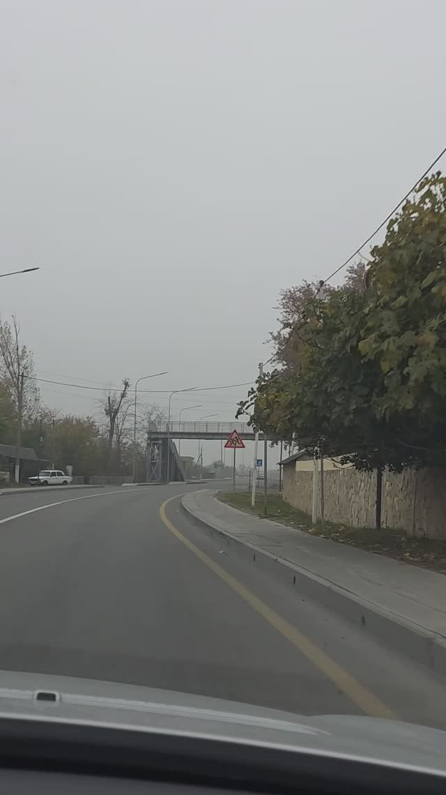 Едем в Biogarden sad по дорогам Азербайджана