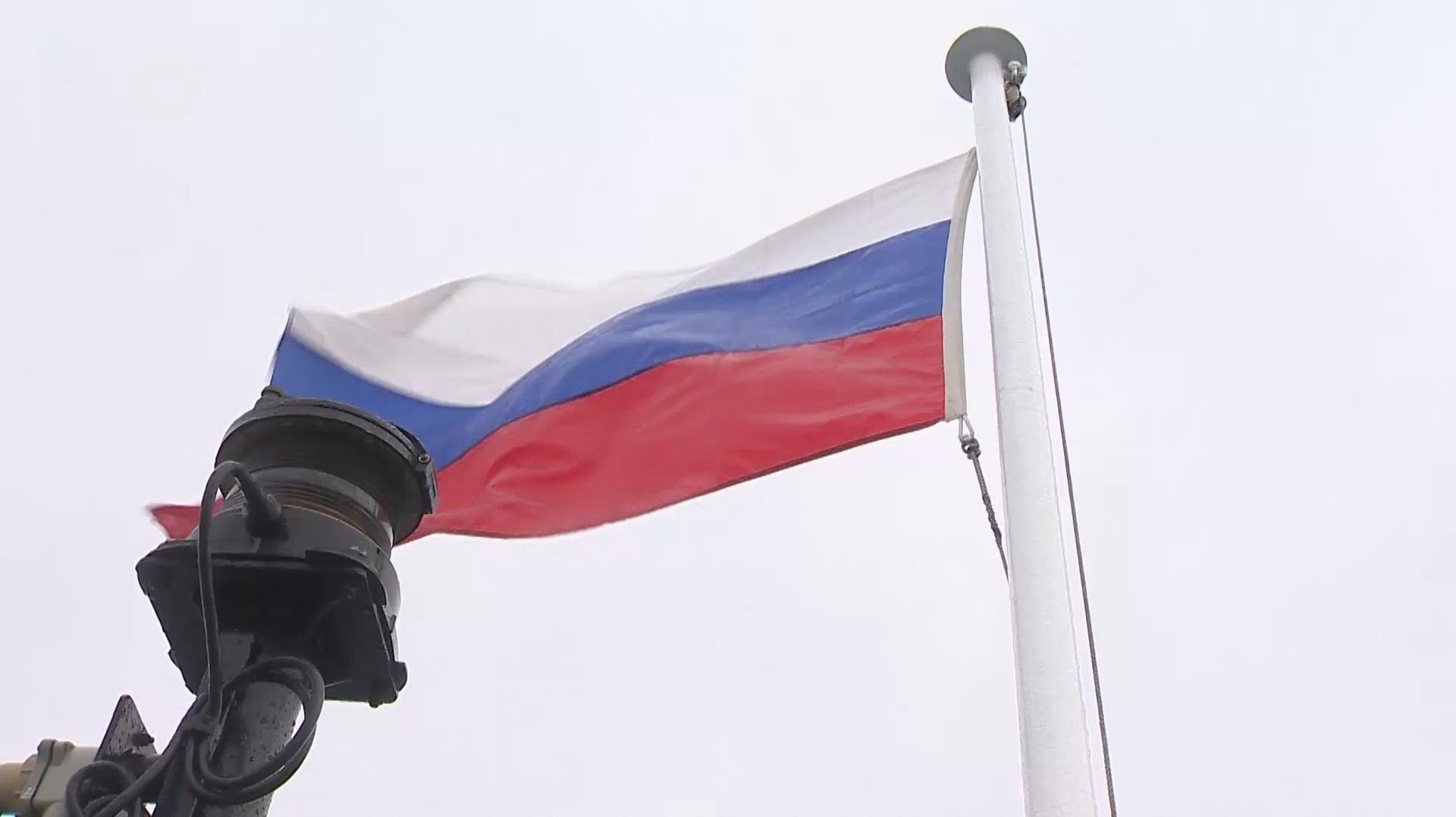 Морская / Краб – не свинья: философия и эволюция по профессору Масленникову / 13.11.25