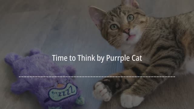 🎬 Time to Think by Purrple Cat | No Copyright Sounds (NCS)