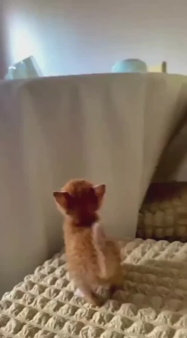 Грустная история