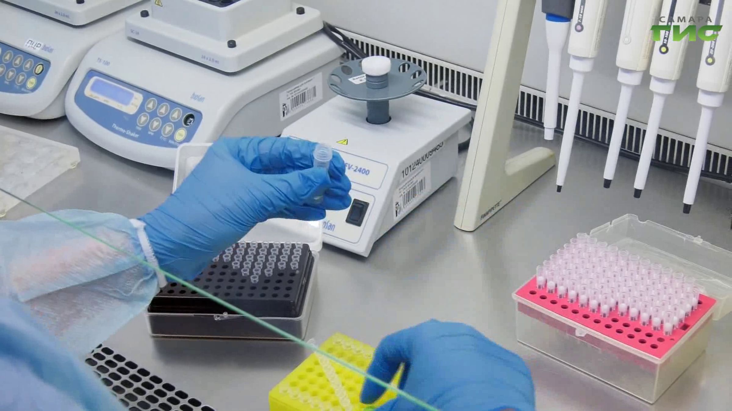 Опасная пневмония: факты, профилактика и лечение