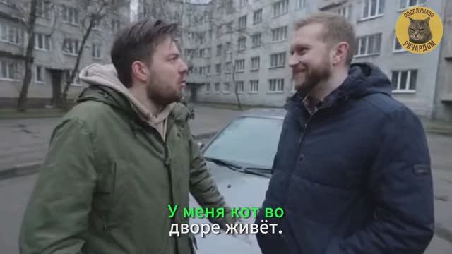 Кошачья метка