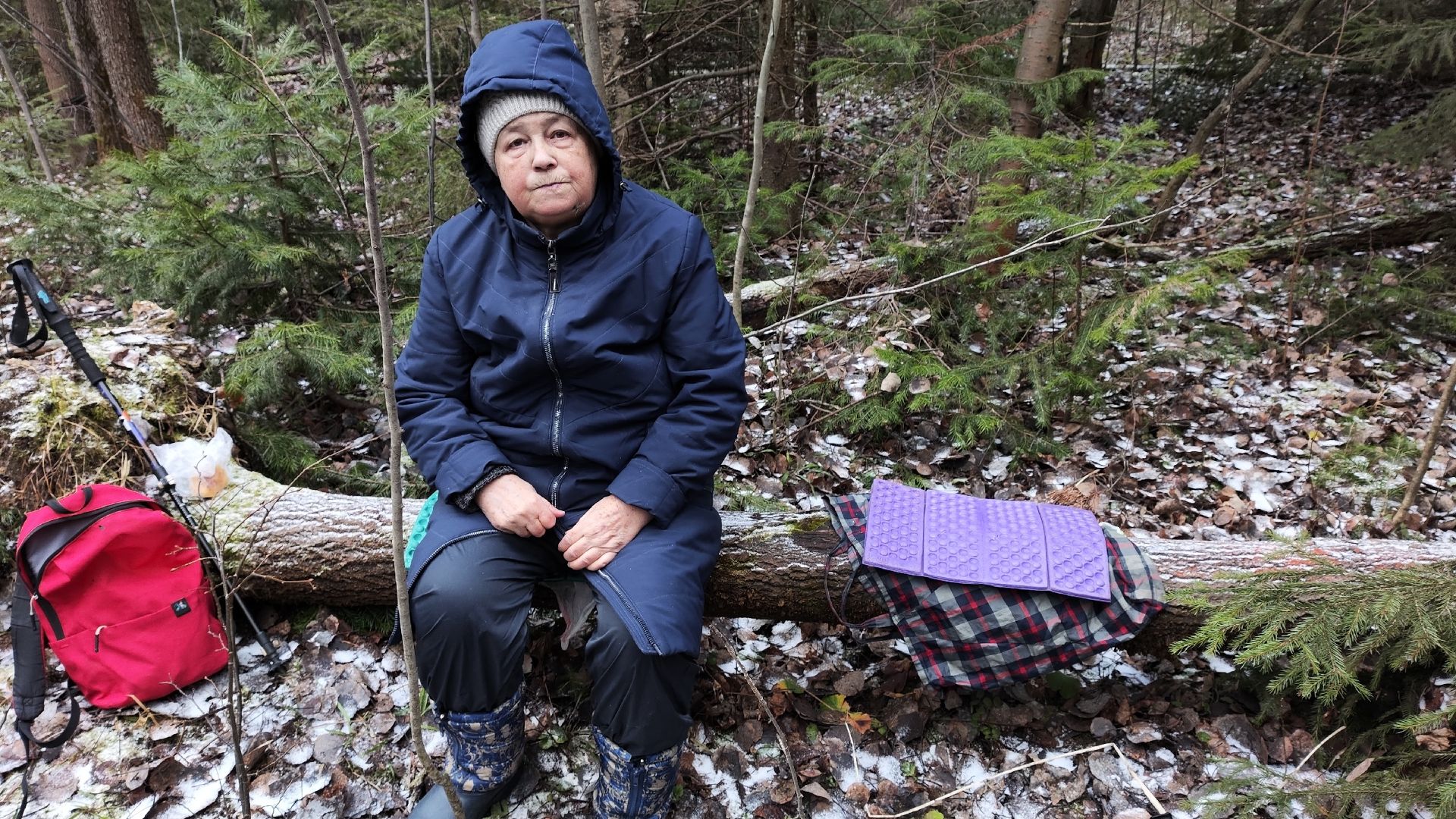 Собираем грибы в ноябре! В лес 12 ноя 2025, фламмулина.