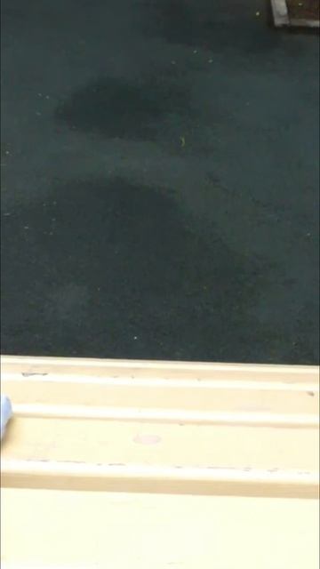 Рафаэль из Черепашек Ниндзя в схватке с ВРАГОМ! 🐢🥊 Кто победит? #шортс  #ЧерепашкиНиндзя #длядетей