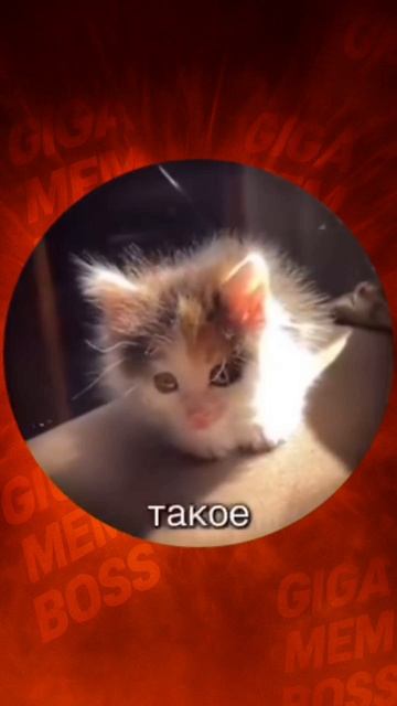 Я ору с этого прикола 😂 Смотри до конца — финал жёсткий 💥 Кто узнал себя? #приколы #ржач #угар