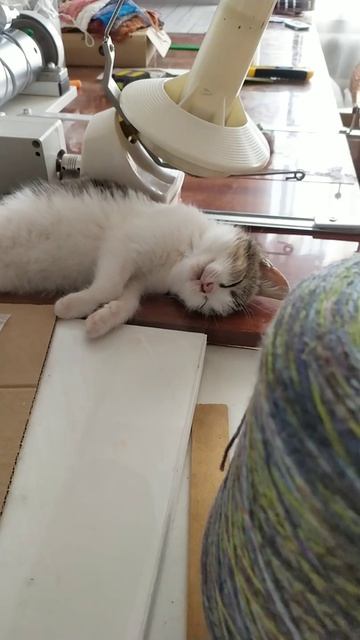 Помогатор 13 ноября