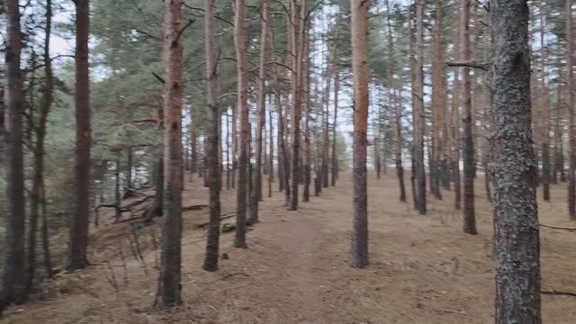 Новости из мира финансов. Депозиты. Мошенники