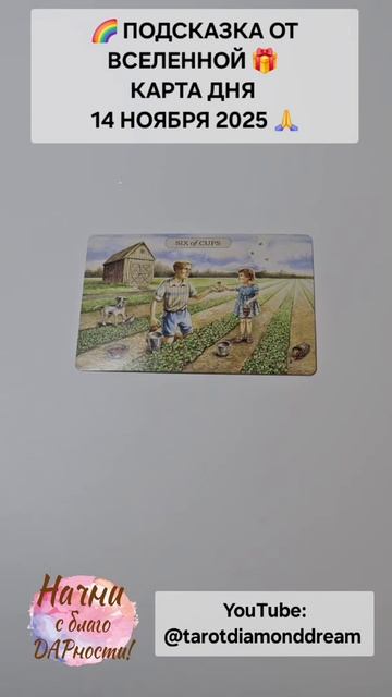 🌈 ПОДСКАЗКА ОТ ВСЕЛЕННОЙ 🎁 КАРТА ДНЯ 14 НОЯБРЯ 2025 🙏
