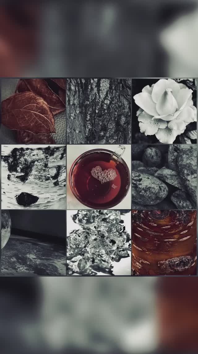 ФотоЭксперимент 14: фактуры и цвета