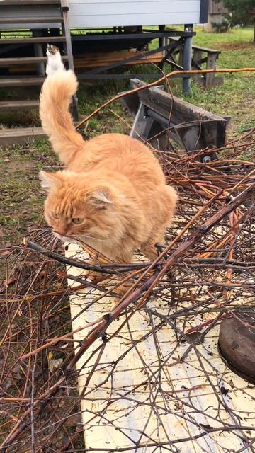 Альфушка и Масечка ❤️