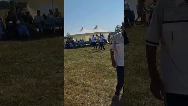 СИҢГЕЛ  "Авыл көне - 2024"