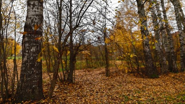 Спокойная музыка для души. Успокаивающая музыка для сна. Релакс музыка | Ecveezer - Air (New Version