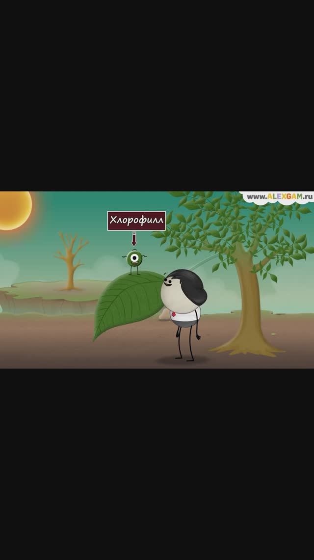 Почему листья меняют цвет и опадают?