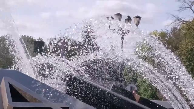 осени цвета прогулки птицы белки в городе