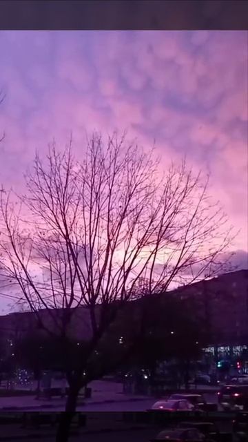 Невероятный ярко-розовый рассвет наблюдали сегодня в Москве и области.