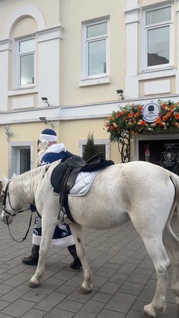🐴 Сегодня в центре города появился Дед Мороз с лошадью, начал раздавать прохожим мандарины и поздра